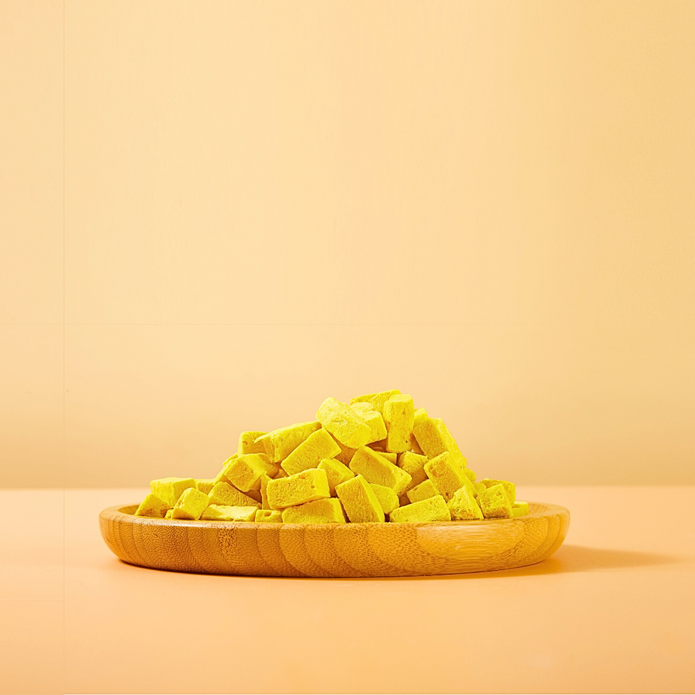Freeze-Dried Pumpkin Yogurt – Arya Sit!
