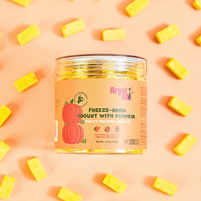 Freeze-Dried Pumpkin Yogurt – Arya Sit!