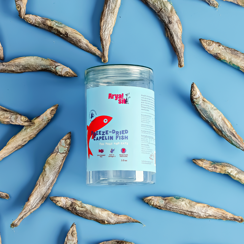 Freeze-Dried Capelin – Arya Sit!