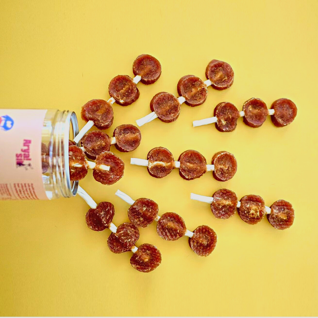 Beef Lollipop Chew – Arya Sit!