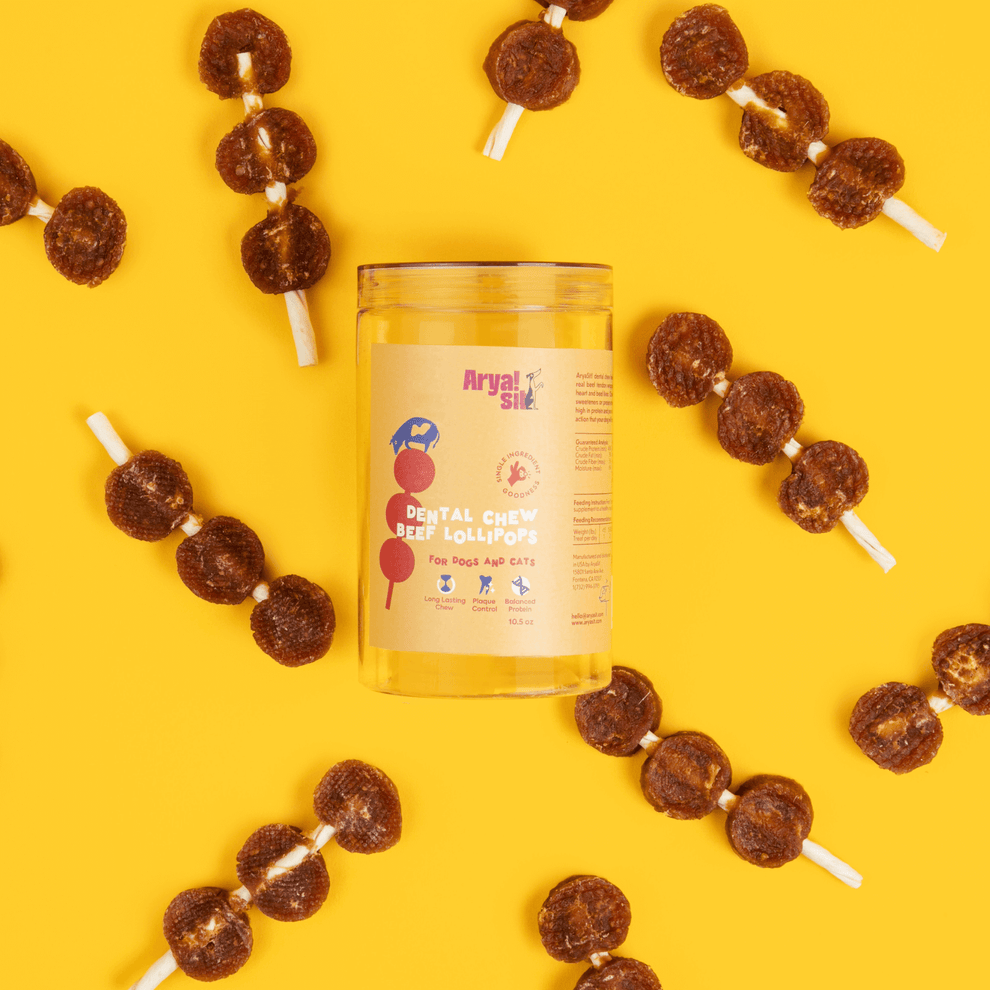 Beef Lollipop Chew – Arya Sit!